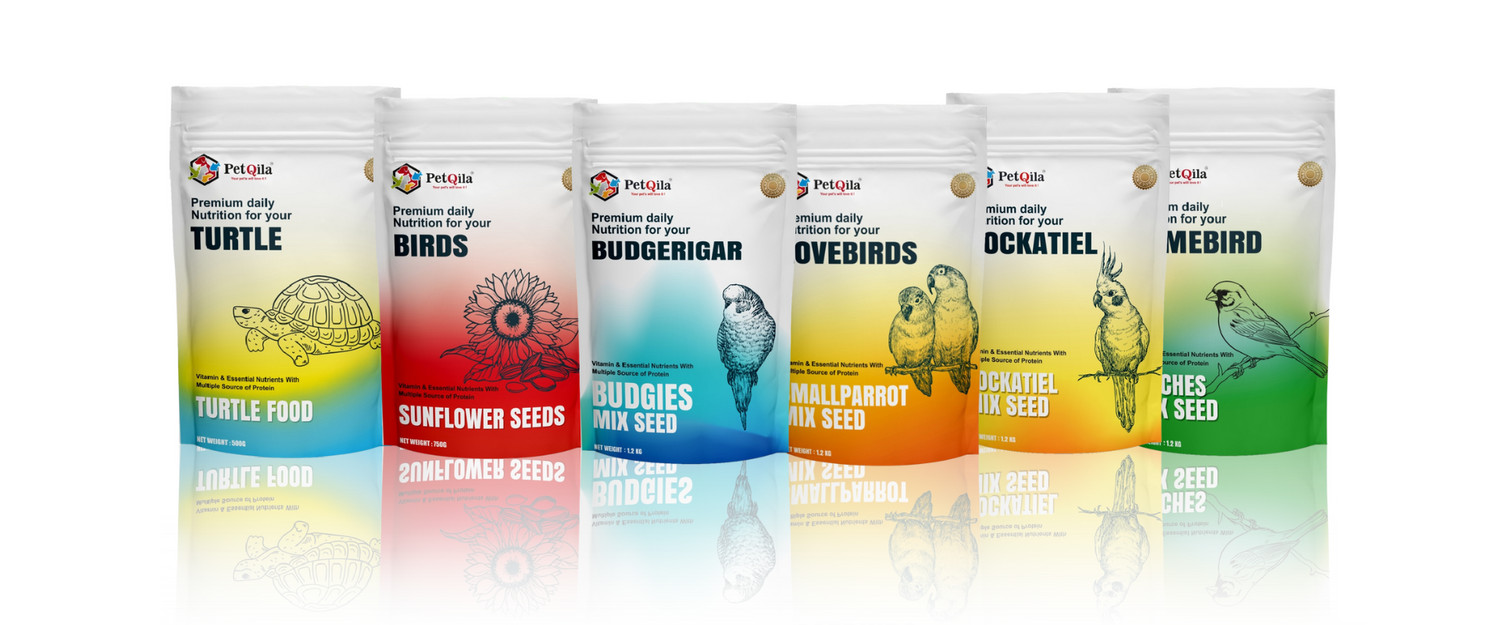 Buy Premium Pet Food At Best Price In India – PetQila