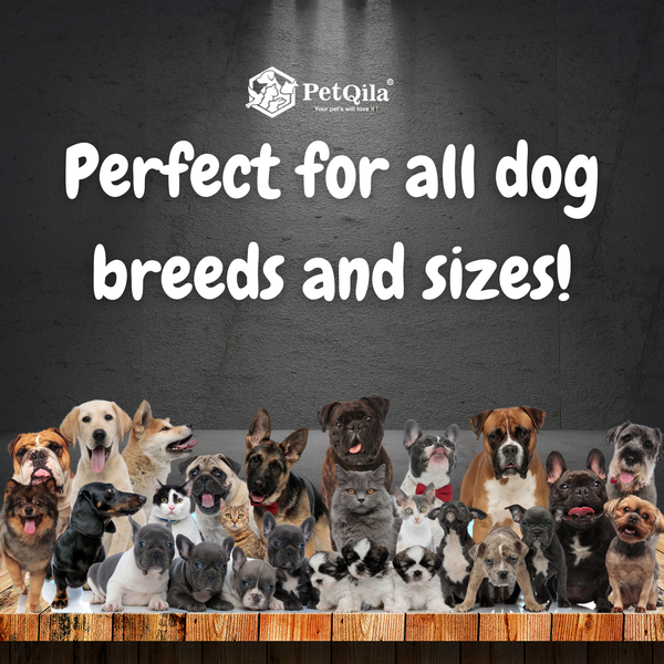 Buy Premium Pet Food At Best Price In India – PetQila