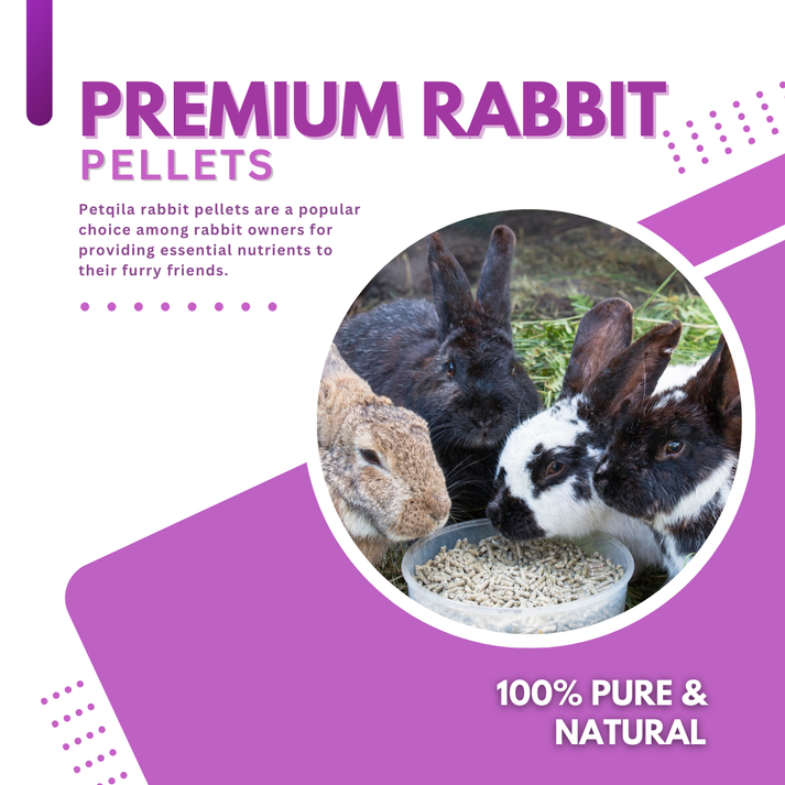 Rabbit food pellets with quality ingredients available in pouch nearby ...